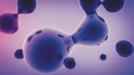 人体骨骼8年更新一次,全身细胞7年更换一次,有些器官却不更新