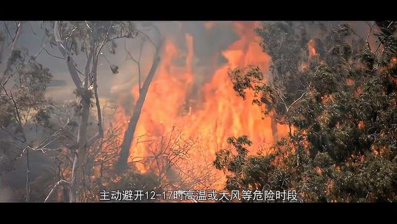 重庆山火 【突遇森林火灾如何逃生?】愿平安!森林火灾变化莫测,需要...