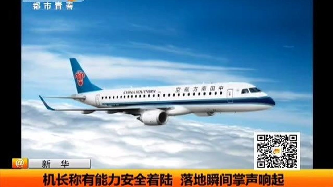 南航航班遭鸟击发动机起火 机长淡定播报