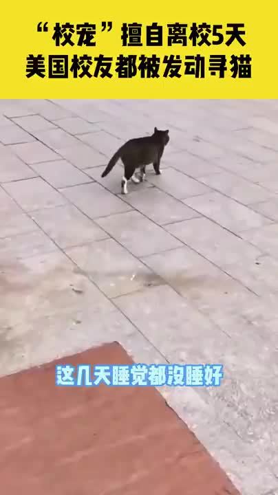 .(采访时间),北京中医药大学,排面!"校宠"擅自离校5天,美国校友.