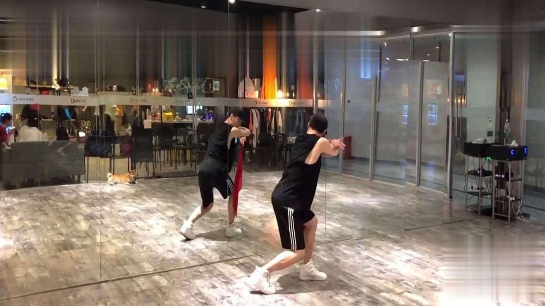 《归去来兮》舞蹈镜面分解教学p2