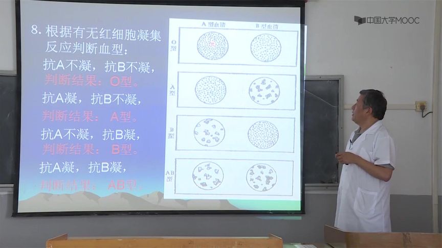 5实验07-ABO血型的鉴定.ts