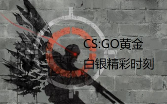 【CS:GO】我的csgo幸运时刻#1