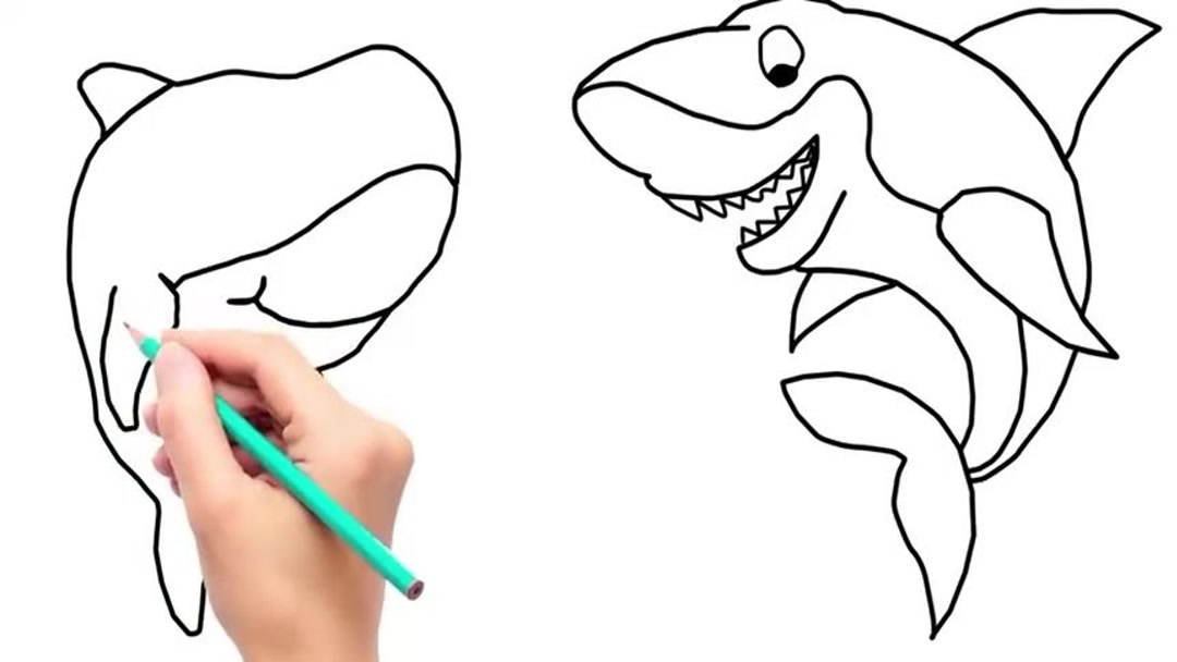 趣味简笔画:画漂亮海豚