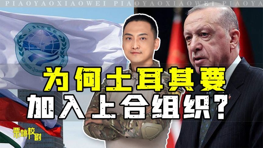作为北约元老国,为何想加入上合组织?土耳其总统的解释相当清晰