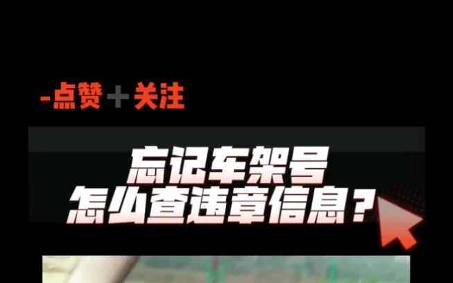 忘记车架号怎么查违章信息?