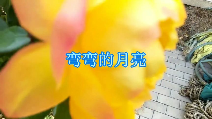 《弯弯的月亮》刘欢