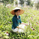 终南许云溪 
