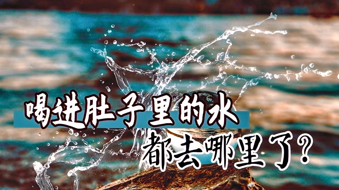 水在人体内的旅程:水,进入我们机体后,它们都去哪儿了?