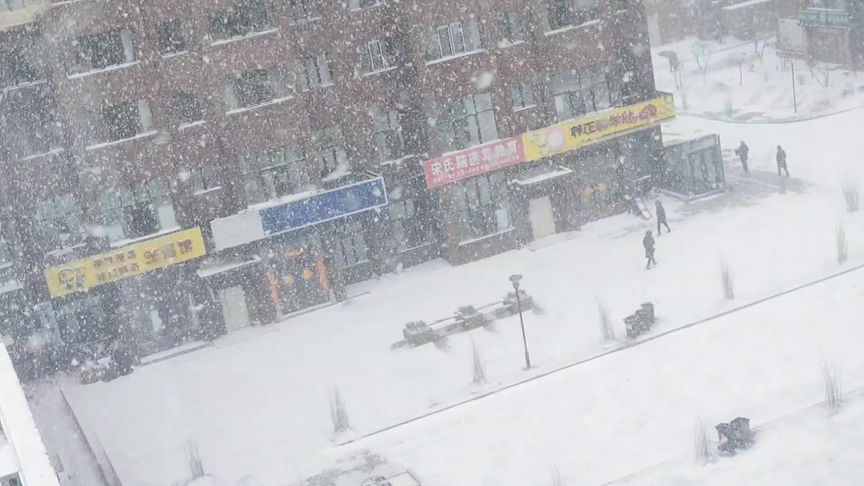 哈尔滨疫情即将结束,3.15号突降大雪,好兆头,瑞雪兆丰年。