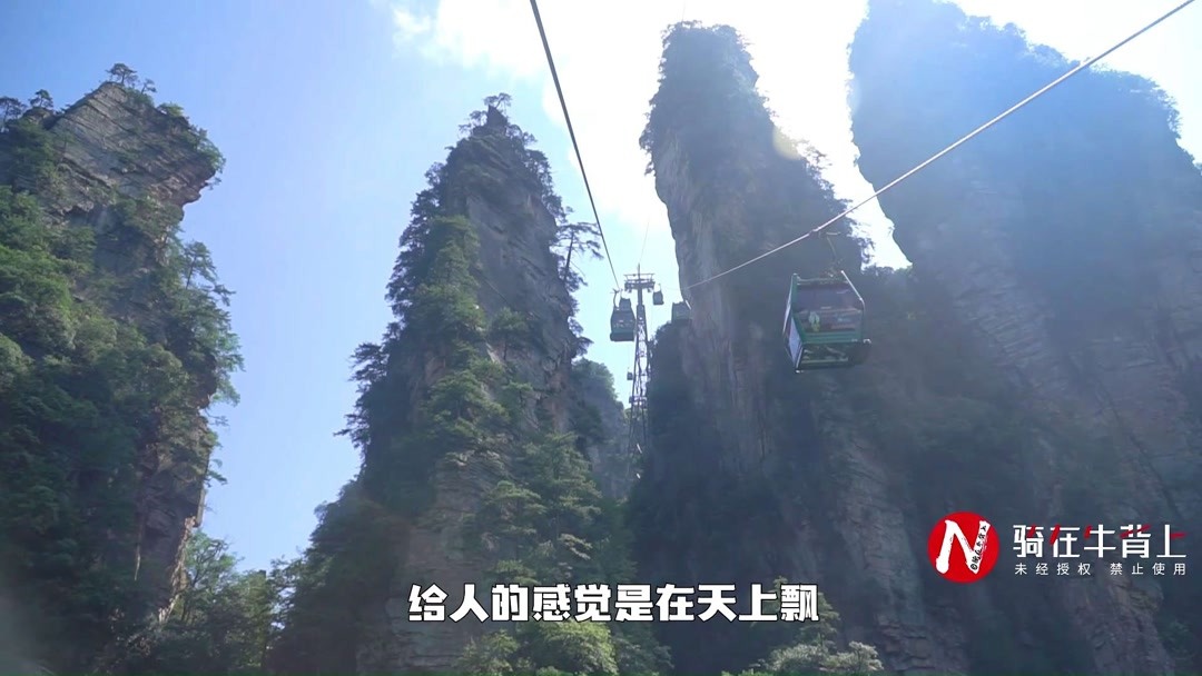 湖南张家界门票245,爬山5小时,索道10分钟130,选爬山还是索道