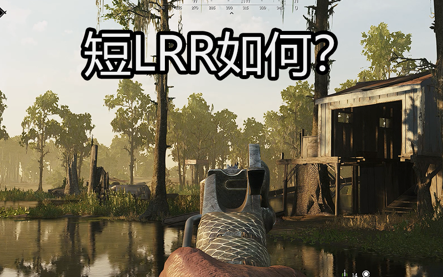 【猎杀对决】短Lrr跟长Lrr对比与双持lrr测试