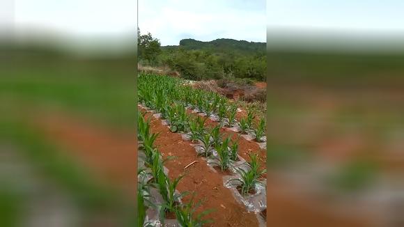 乡村旅游用地,紧邻水库边,地里位置好,土地流转之后开发价值大