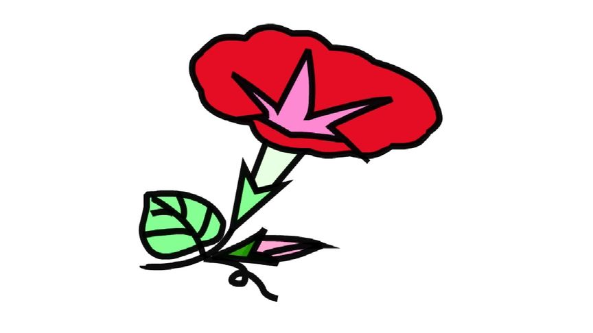 如何画漂亮牵牛花简笔画画法步骤教程儿童宝宝幼儿学画花朵简笔画