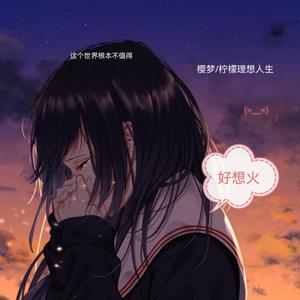 端庄优雅知情达理奈子 