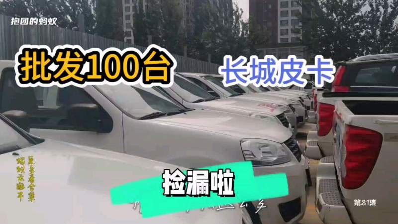 低调的石家庄二手车市场,突然空降一百台长城皮卡二手车,捡漏了