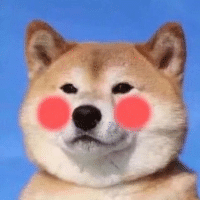 大猪蹄游戏试玩 