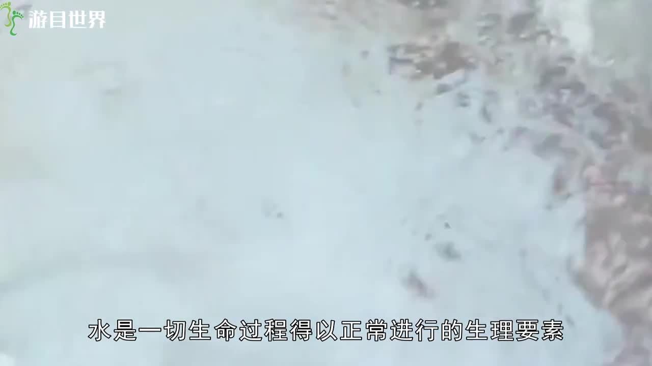 白开水是长寿药!但别在“2个时间段”多喝,不然等于害自己