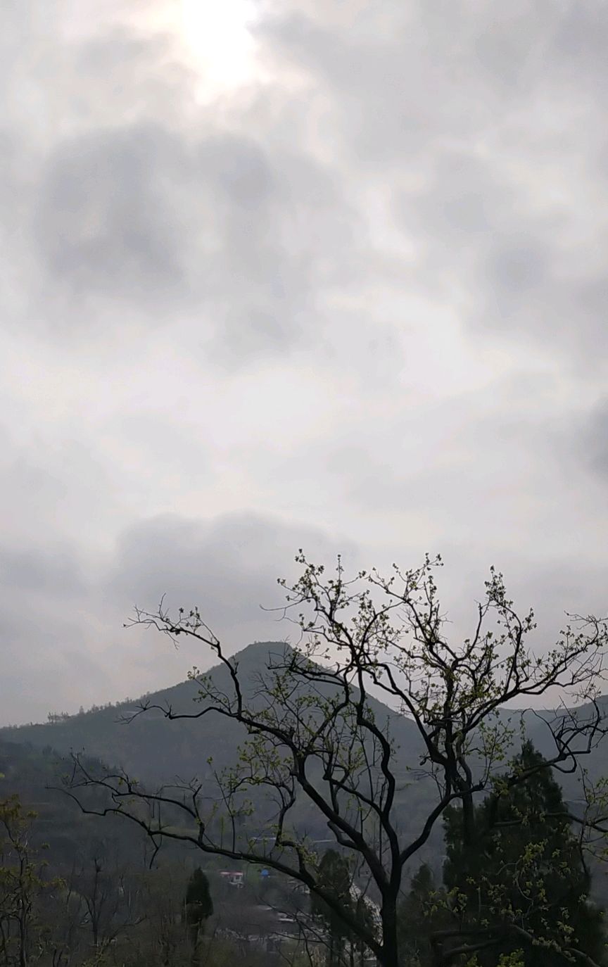 东郭老师说教育 