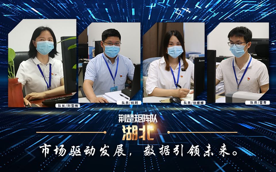 第二届全国市场主体数据分析大赛初赛视频 - 湖北队