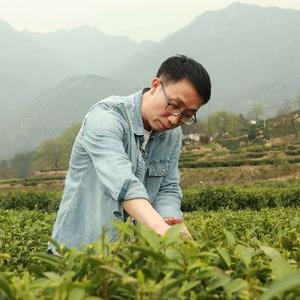 老吴寻茶 