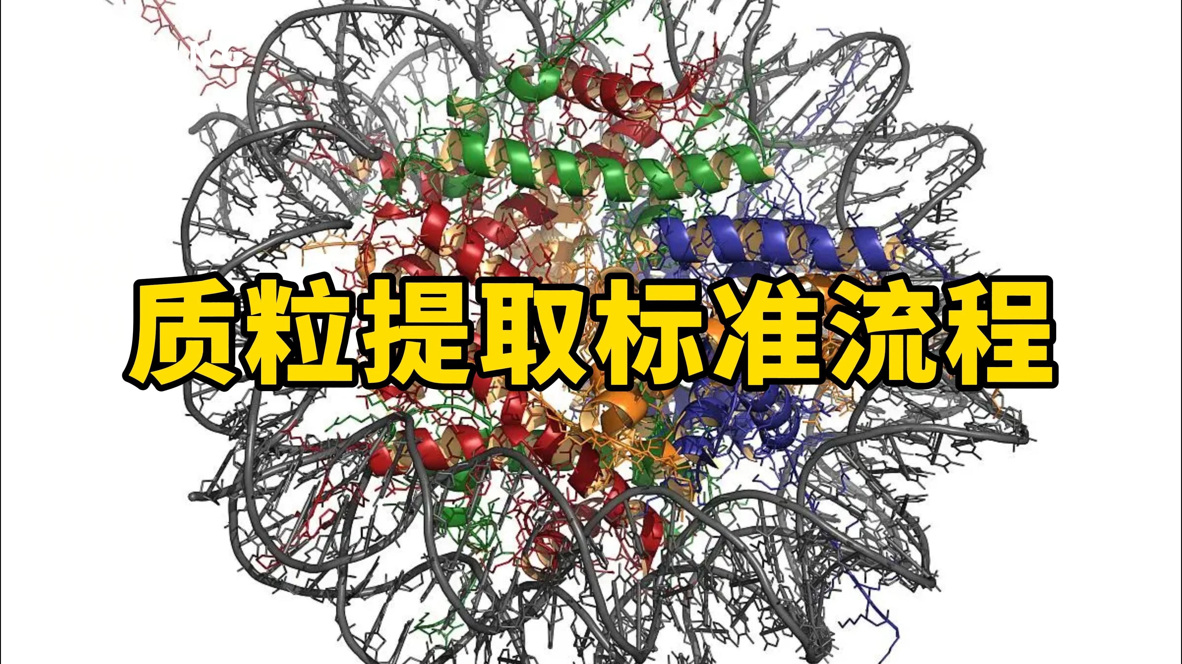 干货 | 质粒提取标准流程