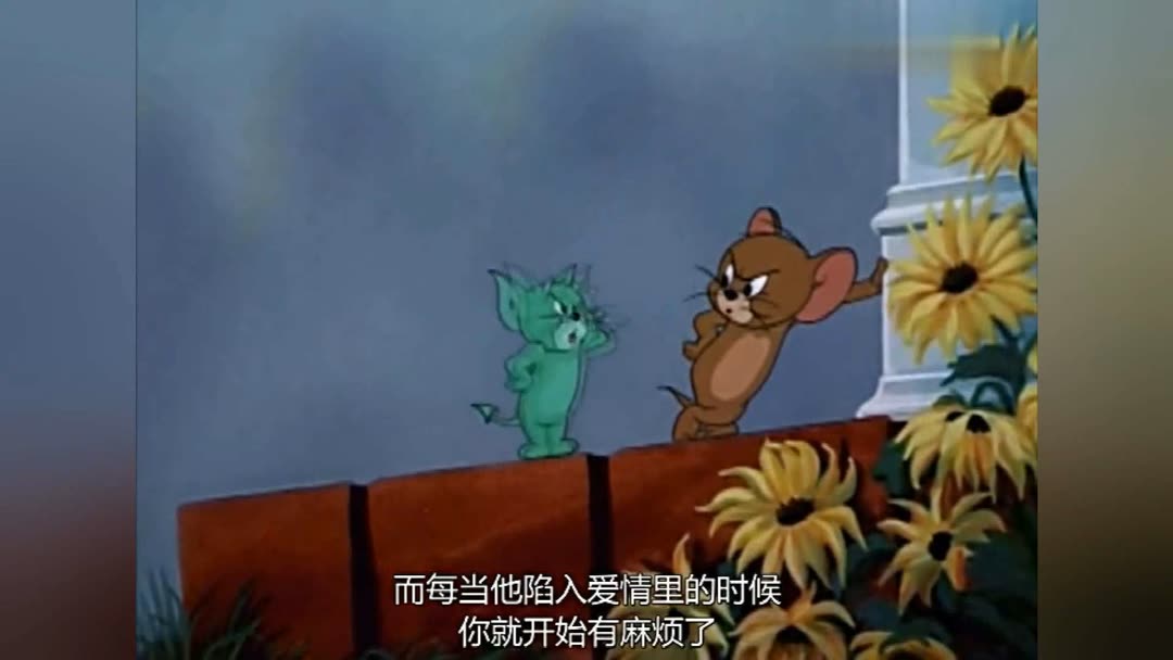 猫和老鼠:童年有趣动画片段