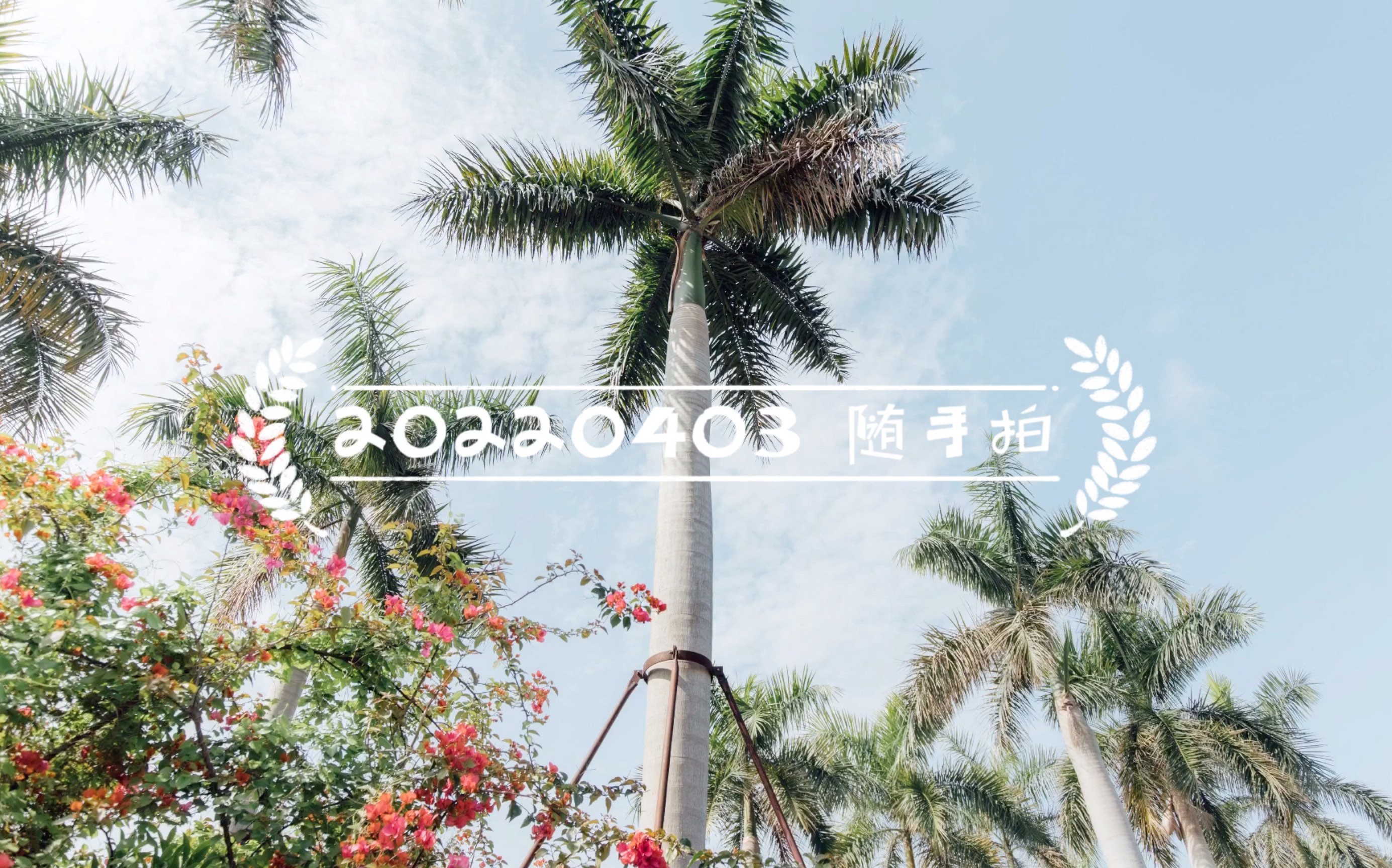 20220403 福建农林大学