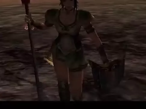 真三国无双4 Lv4武器 星彩-煌天