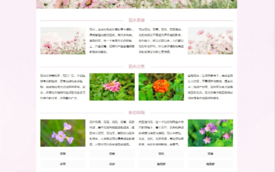 鲜花网页设计,代码可修改,一共10个页面
