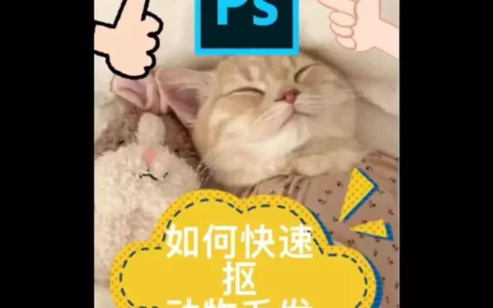 如何用PS抠毛发?