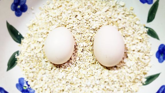 一碗燕麦两个鸡蛋,秘制健康早餐新吃法,早起10分钟,柔软美味