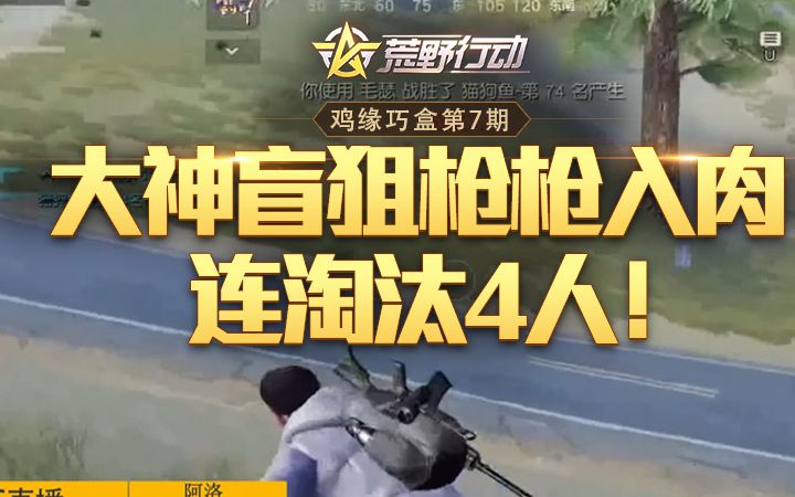 荒野行动:盲狙枪枪入肉,自带瞬狙模式了解一下?