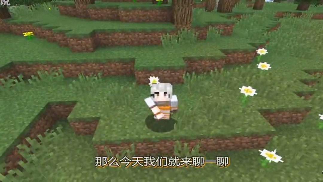 我的世界:盘点解密碰撞箱的个秘密!窒息伤害原来这样判定