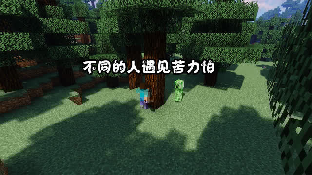 我的世界:不同人遇到苦力怕