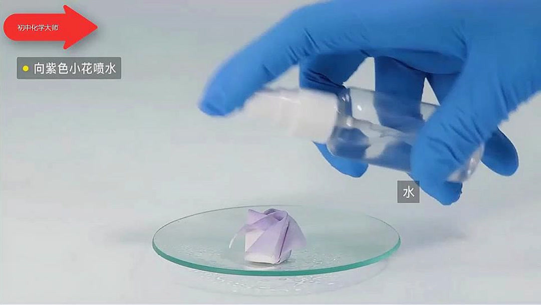 探究二氧化碳与水反应