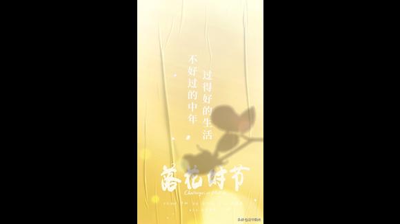 电视剧《落花时节》官宣群星阵容 雷佳音袁泉共渡中年困局