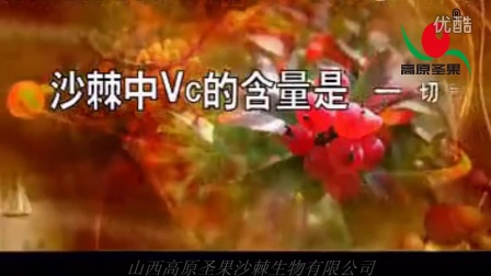 “圣果”沙棘,神奇的功效