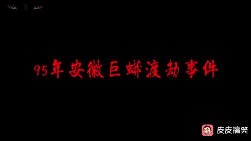 95年安徽巨蟒渡劫事件