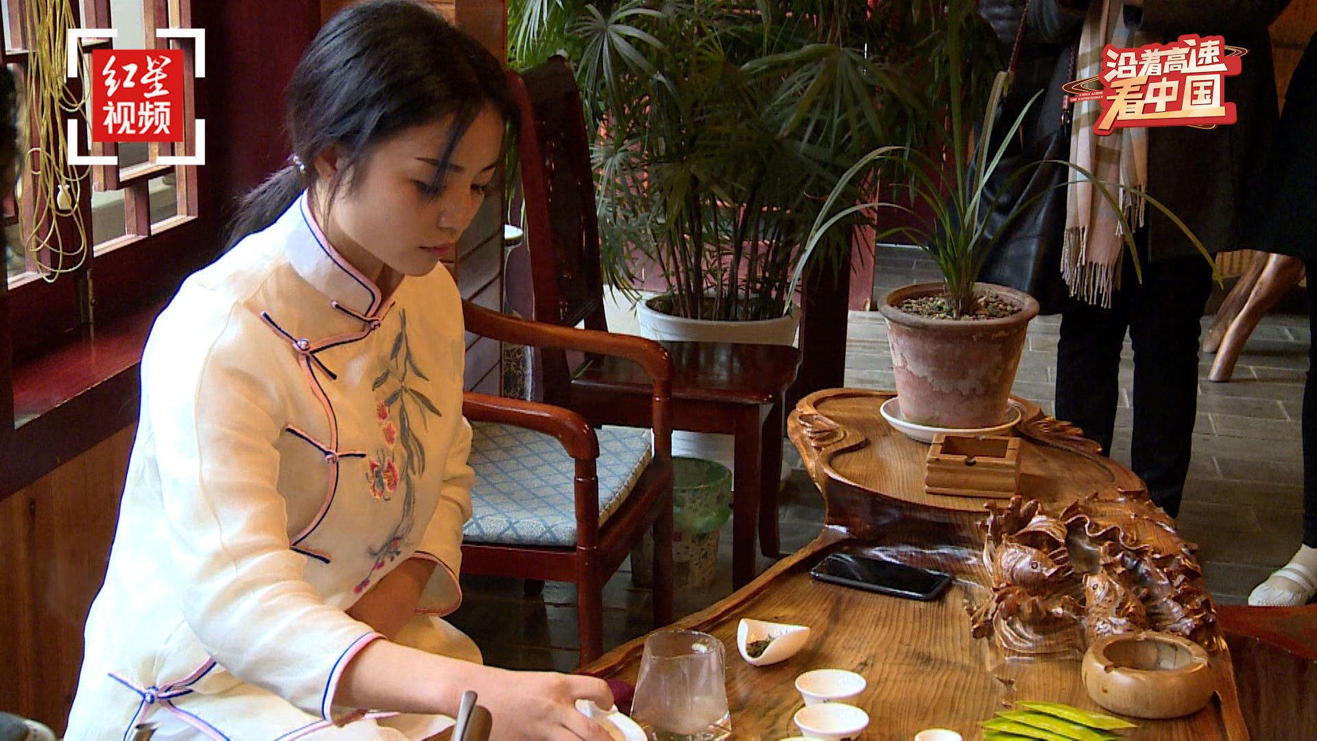 沿着高速看中国丨来蒲江绿茶之乡,请你喝一杯香甘味醇的"蒲江雀舌"