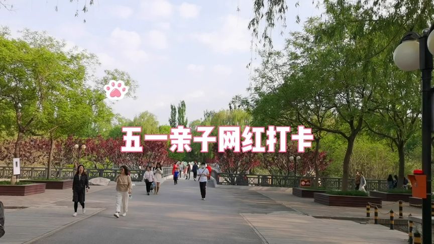 用短视频记录生活-五一亲子网红打卡