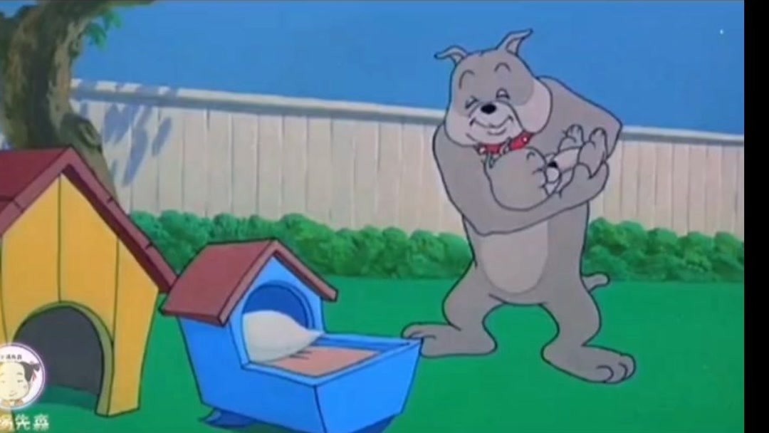 猫捉老鼠的故事