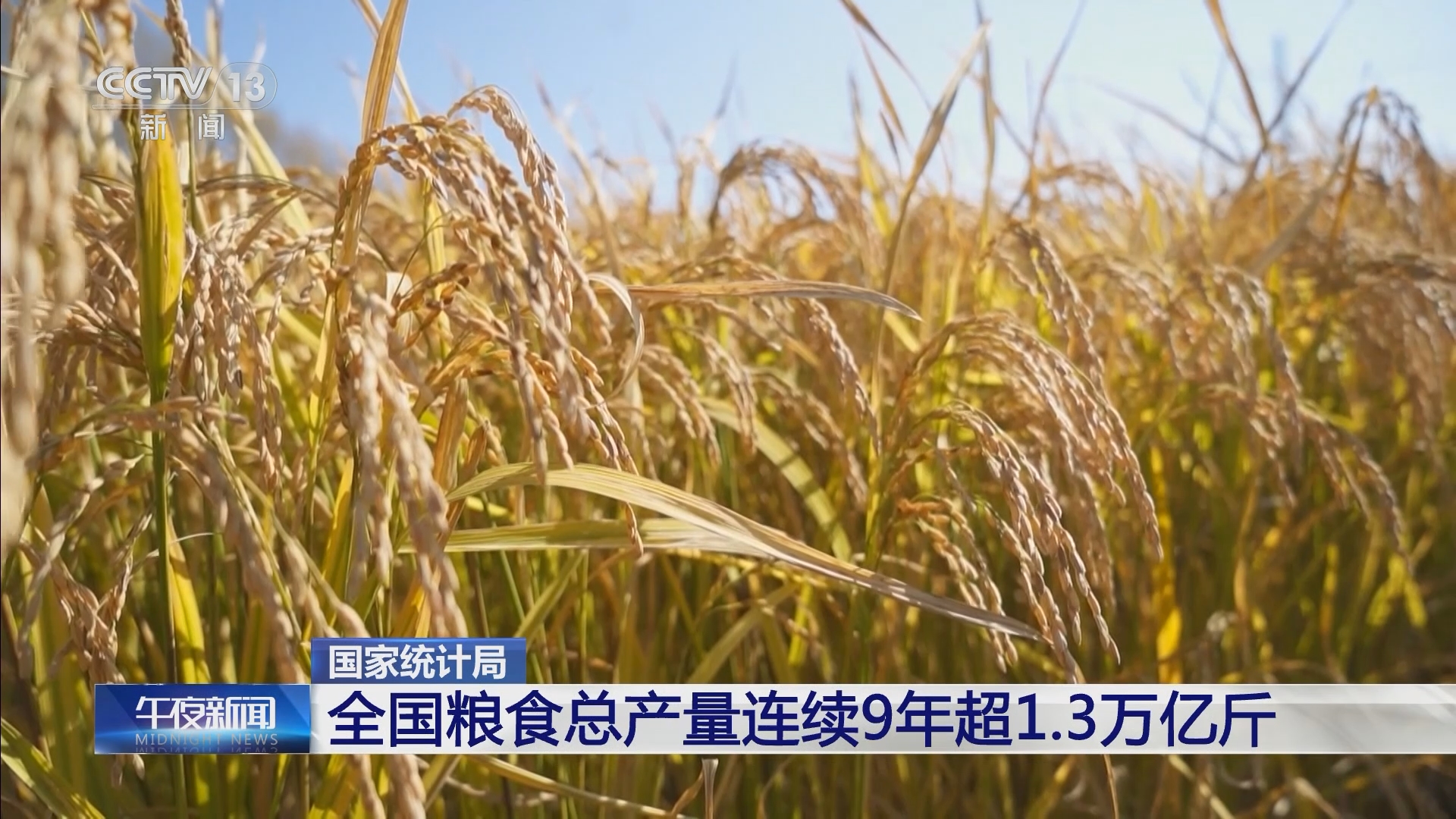 [午夜新闻]国家统计局 全国粮食总产量连续9年超1.3万亿斤