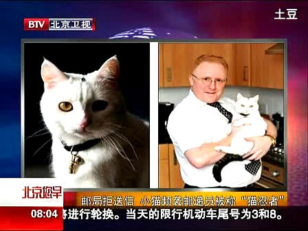 邮局拒送信小猫频袭邮递员被称“猫忍者”