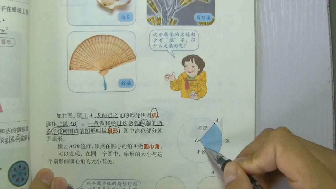 第五单元圆课时4扇形