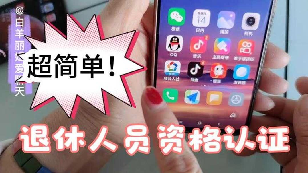 河北邢台退休人员资格认证超级简单,手把手教您,学会了吗?