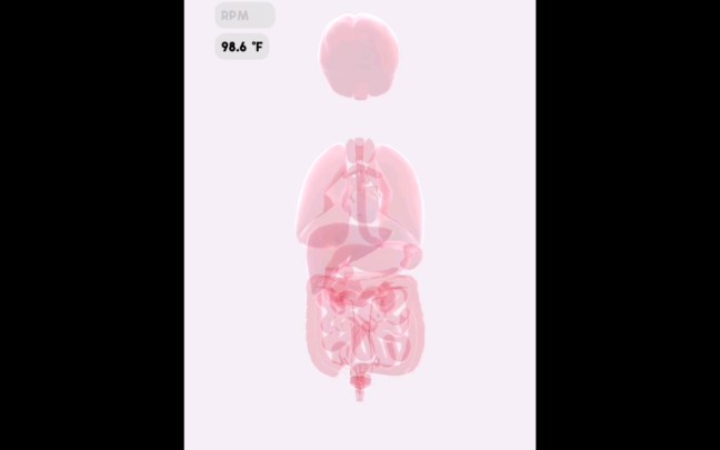 【生命—life】模拟死刑