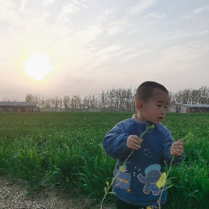 故人叹阑珊几场 