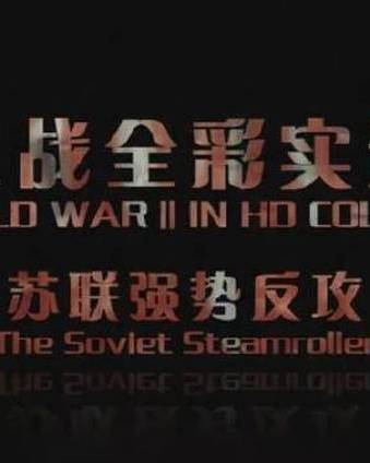 CCTV纪录片《二战全彩实录》第8集:苏联强势反攻本片采用了全部...