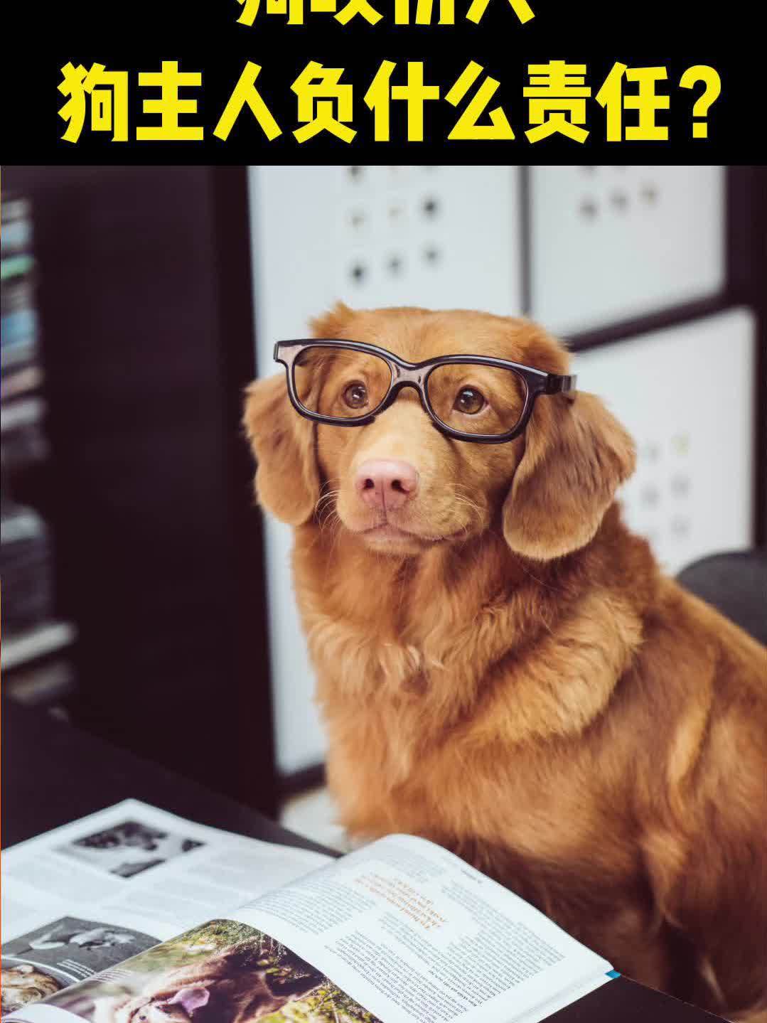 狗咬伤他人,狗主人需要负哪些责任呢法律律搜搜法律咨询狗来普法2022